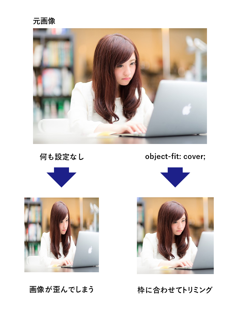 WordPressで画像のサイズをCSSで最適化してレスポンシブデザインに対応する | Plusers